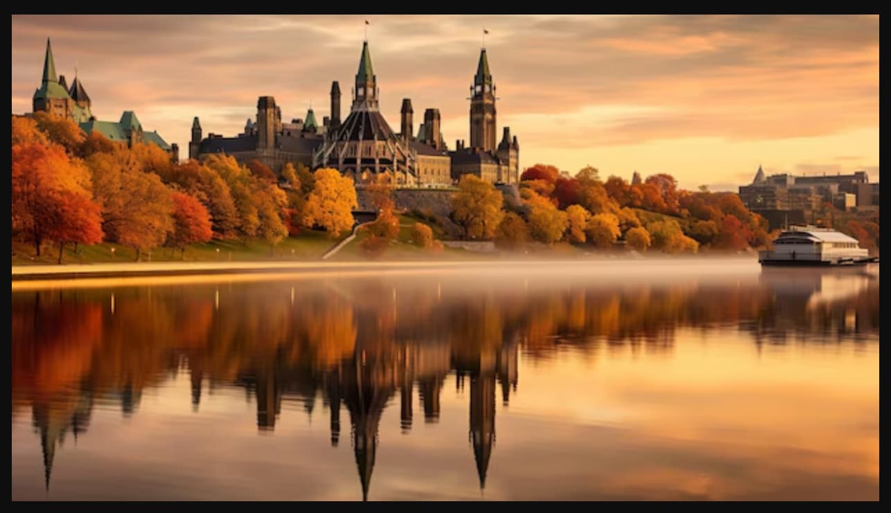 Doreen McMahon | WDD 130